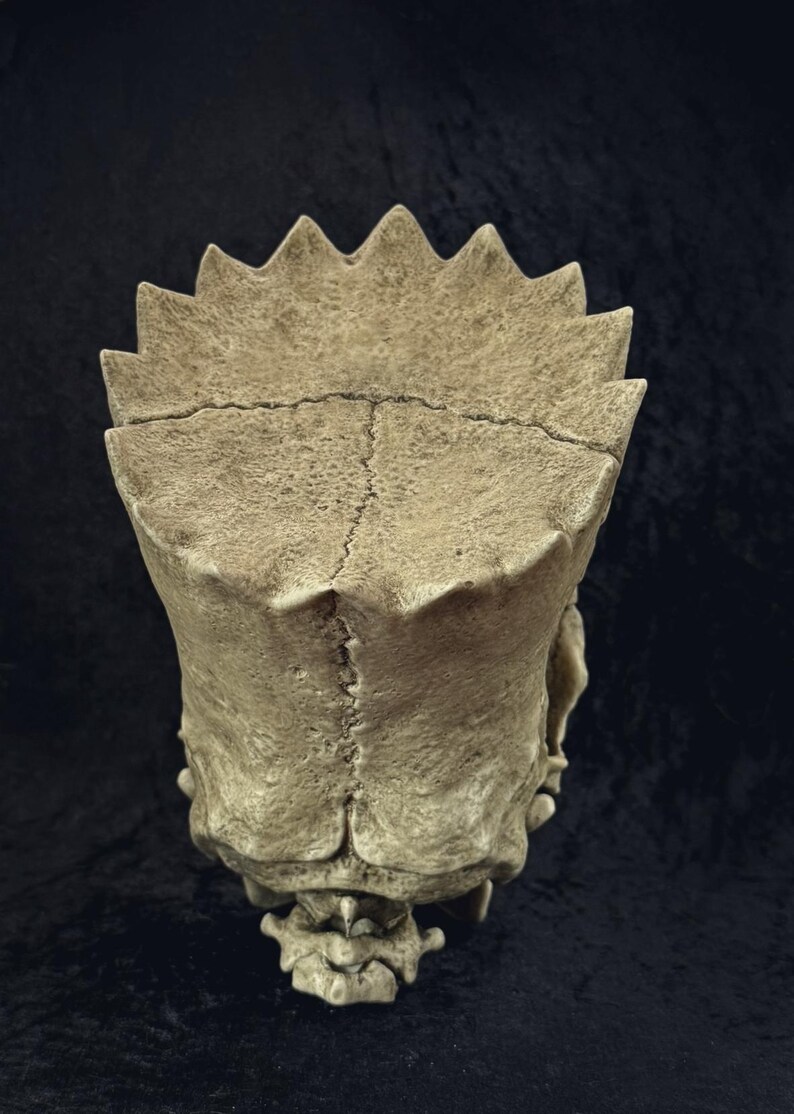 Bart Simpson Skull (full Sized) - Etsy
