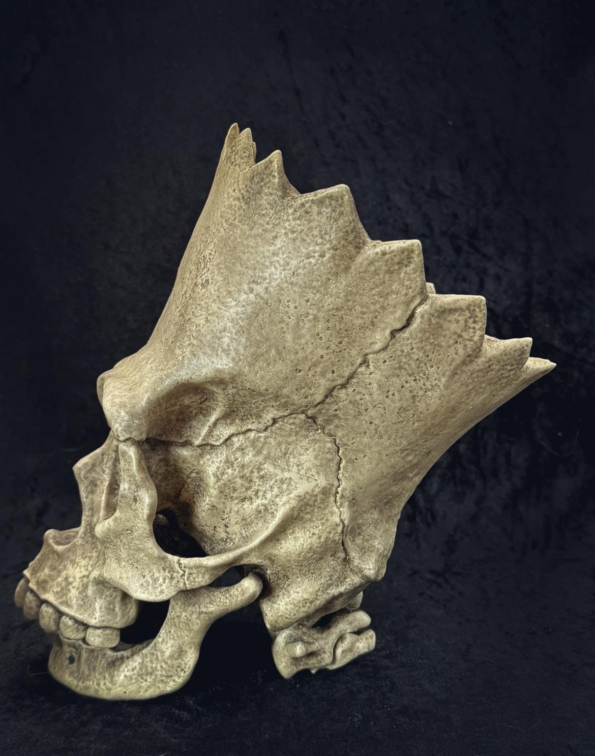 Bart Simpson Skull (full Sized) - Etsy