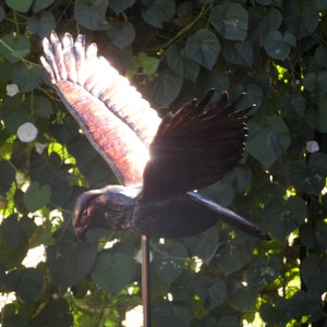 Red Tailed Hawk, Copper Weathervane, Rooftop Weathervane, Large ...