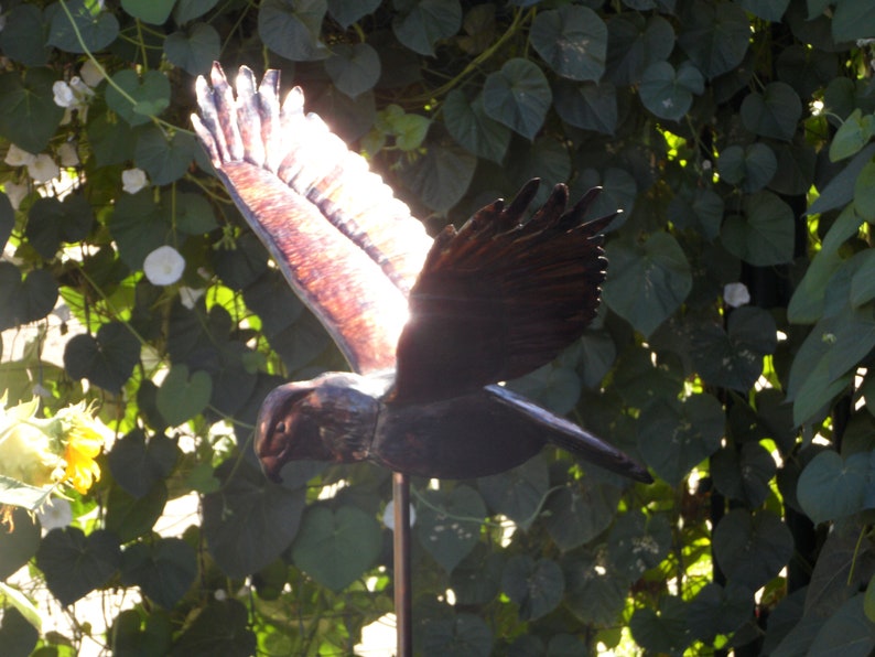 Red Tailed Hawk Copper Weathervane Rooftop Weathervane - Etsy