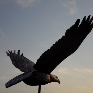 Red Tailed Hawk, Copper Weathervane, Rooftop Weathervane, Large ...