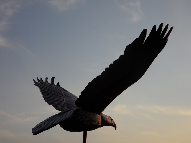 Red Tailed Hawk Copper Weathervane Rooftop Weathervane - Etsy