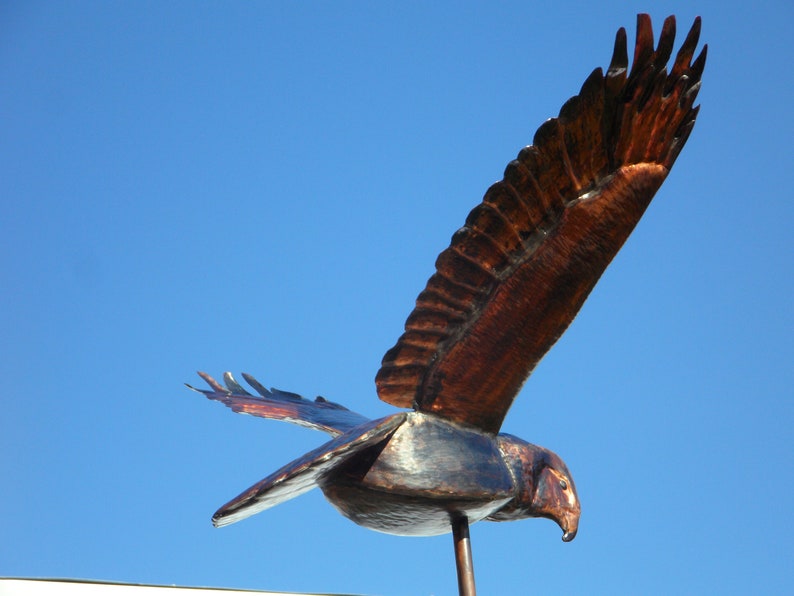 Red Tailed Hawk Copper Weathervane Rooftop Weathervane - Etsy