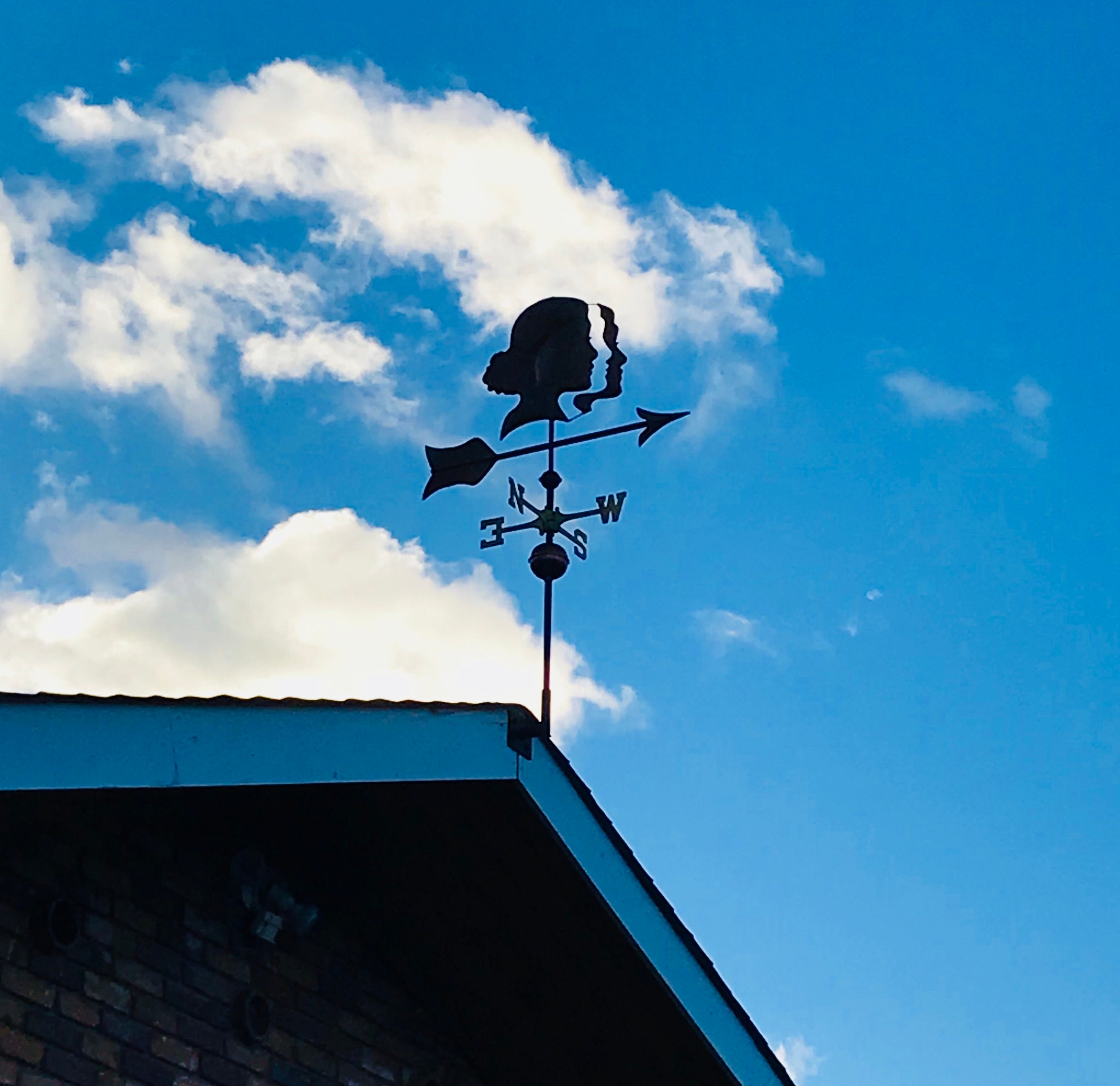 Made to Order Logo Weathervane, Customized Business, Personalized ...