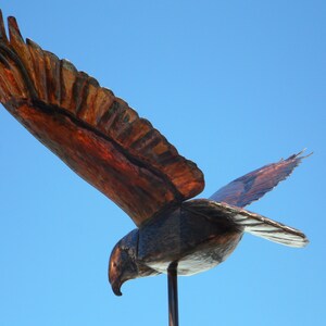 Red Tailed Hawk, Copper Weathervane, Rooftop Weathervane, Large ...