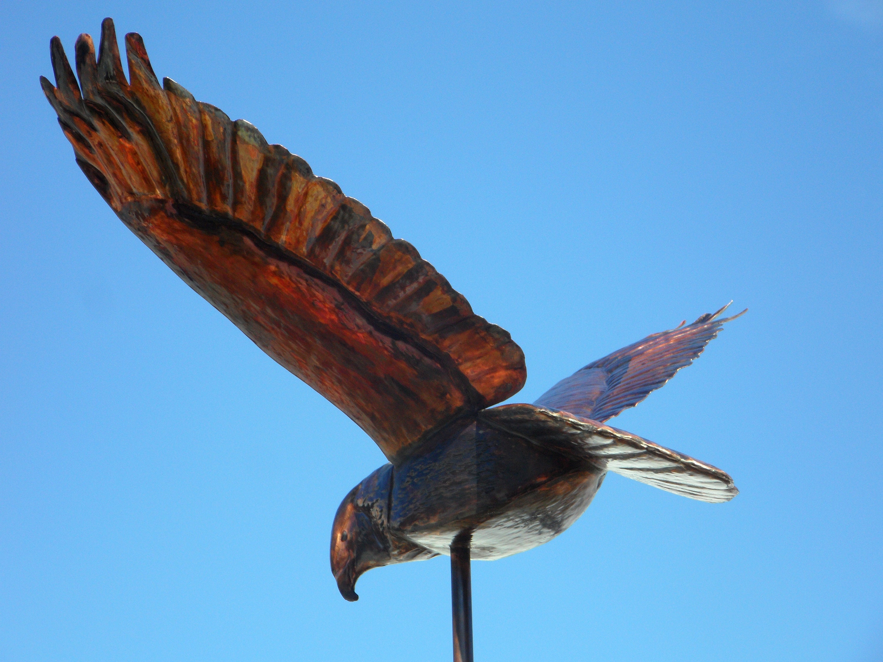 Red Tailed Hawk, Copper Weathervane, Rooftop Weathervane, Large ...