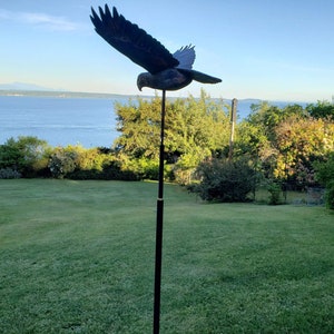 Red Tailed Hawk, Copper Weathervane, Rooftop Weathervane, Large ...