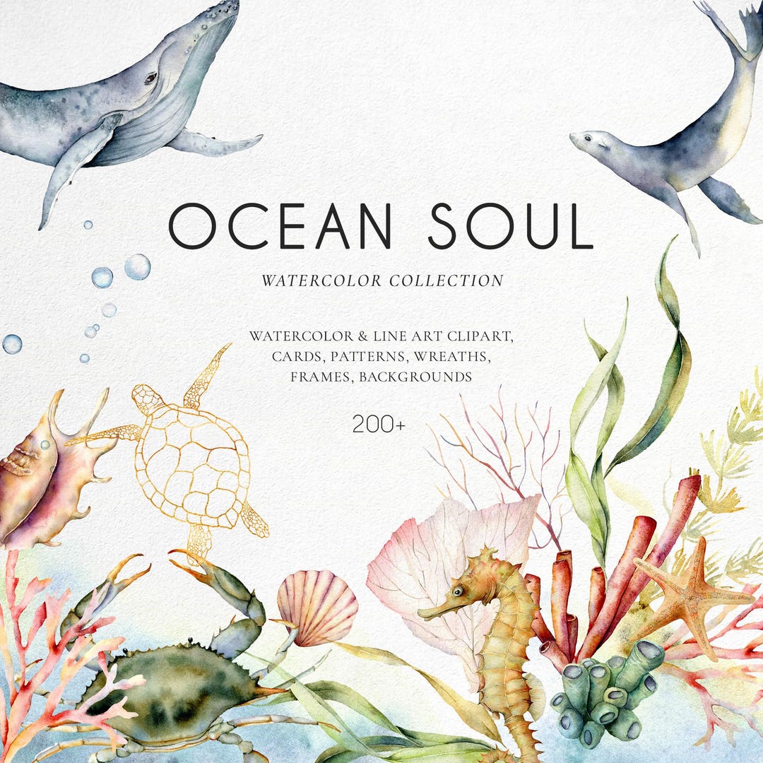 Watercolor Under the Sea Clipart Bundle – Ocean Reef Animals PNG With ...