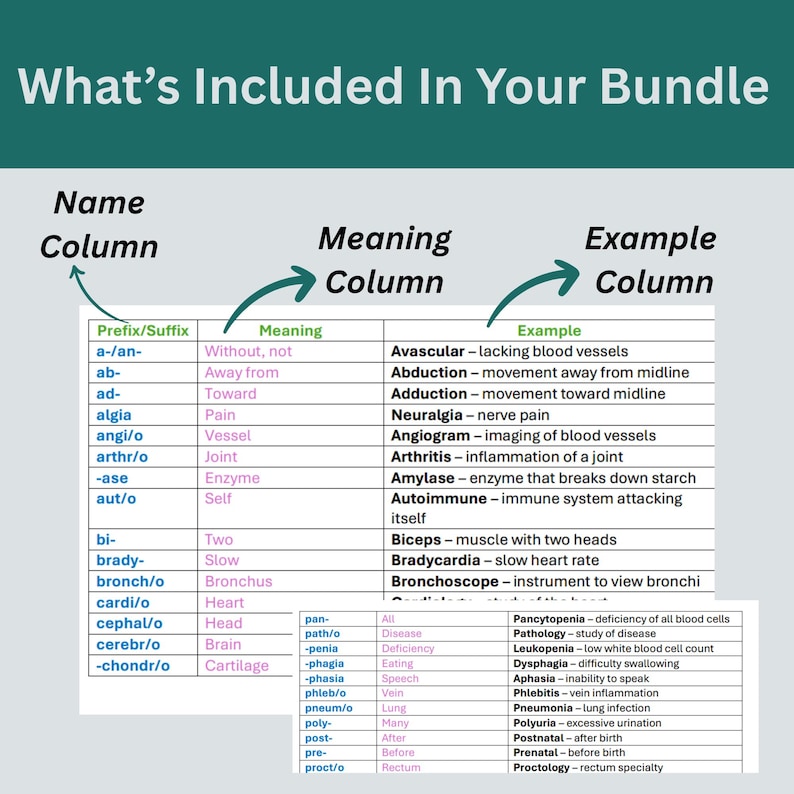 Medical Terminology Prefixes and Suffixes | A&P Study Guide (printable ...
