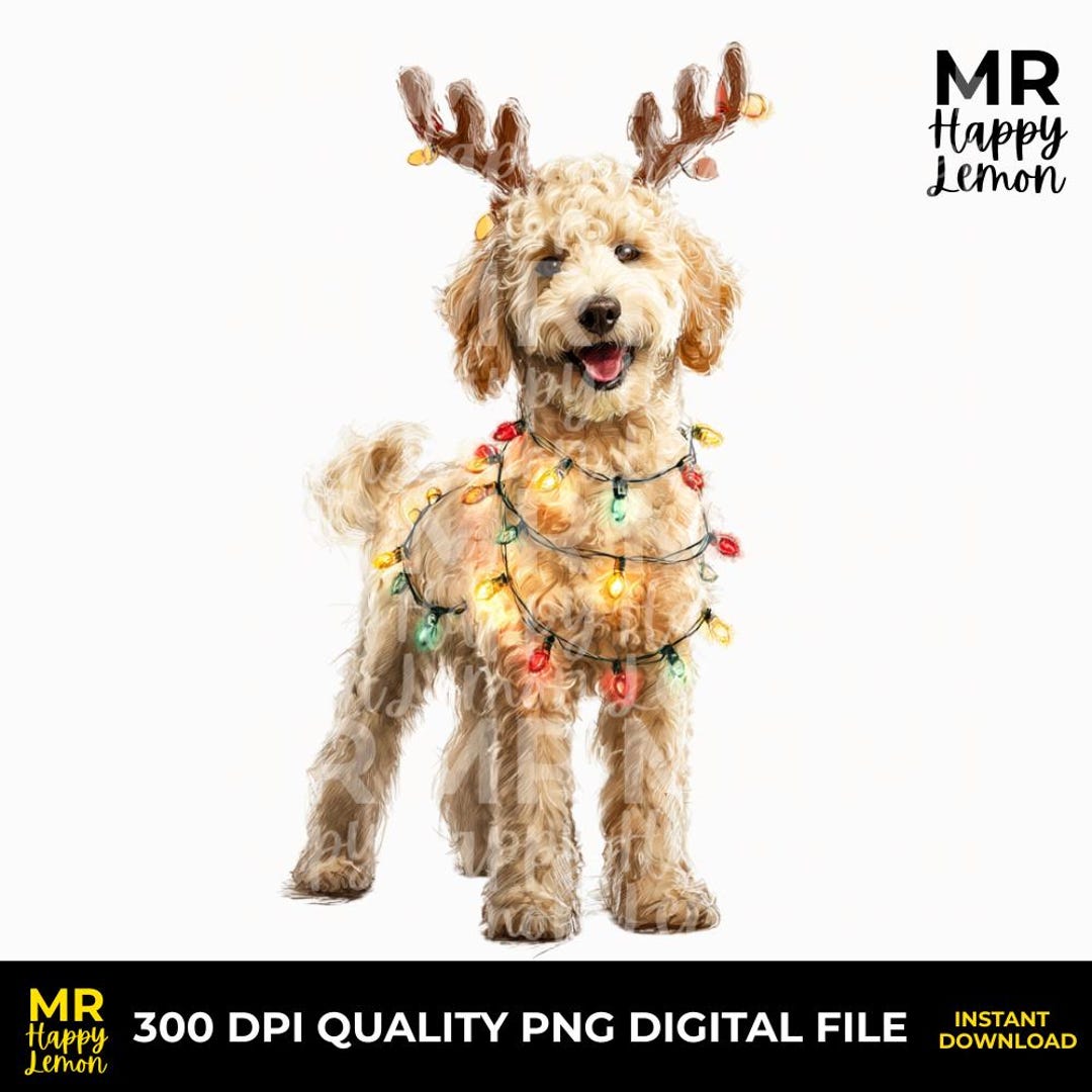 Hand-painted Christmas Poodle PNG, Lights Santa Dog (digital Download ...