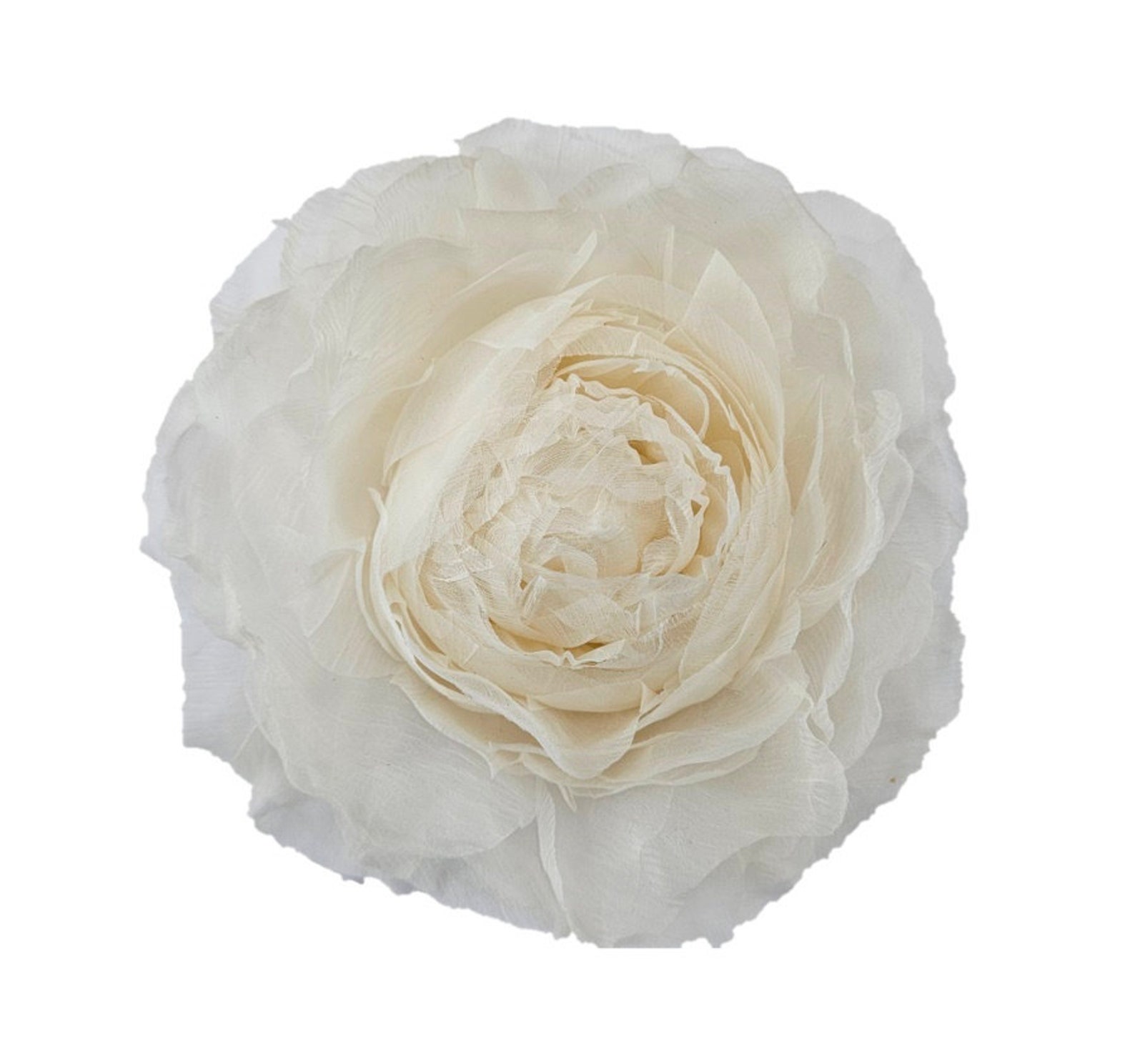 M&S Schmalberg 8" Cabbage Rose Large Light Ivory off White Crinkle Silk ...