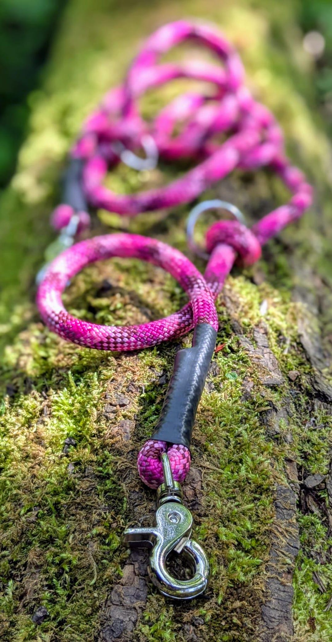Candy Line: Pink Swirl - Dog Leashes - Etsy