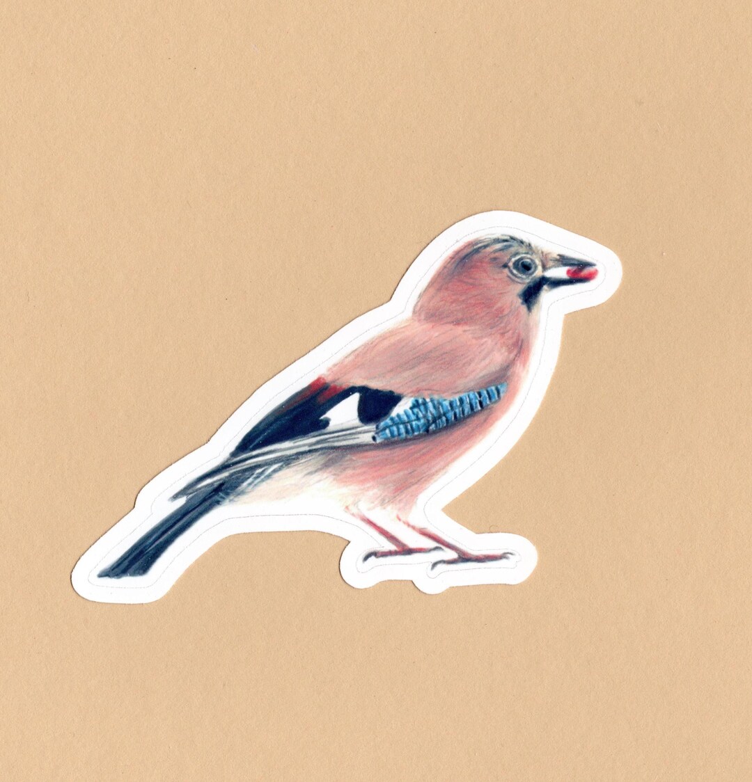 Unique Jay Illustration Sticker Matte Finish, Hand-drawn Illustration ...