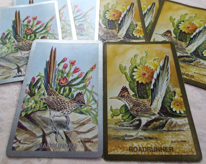 Roadrunner Blank Note Card - Etsy