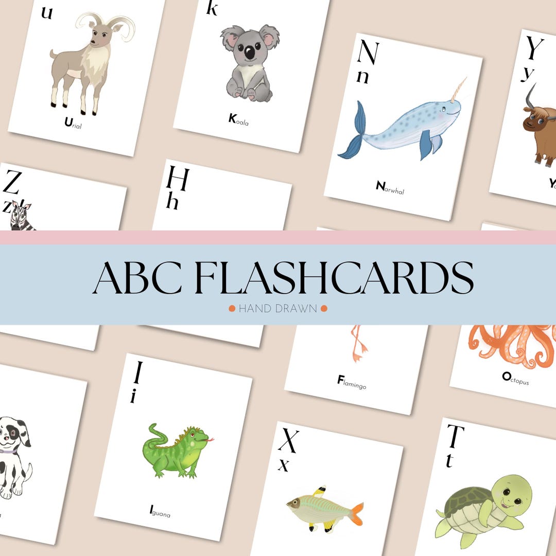 Hand-drawn Animal Alphabet Flashcards, Colorful ABC Cards, Modern ...