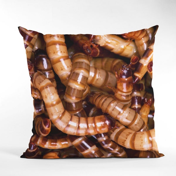 Maggots - Etsy