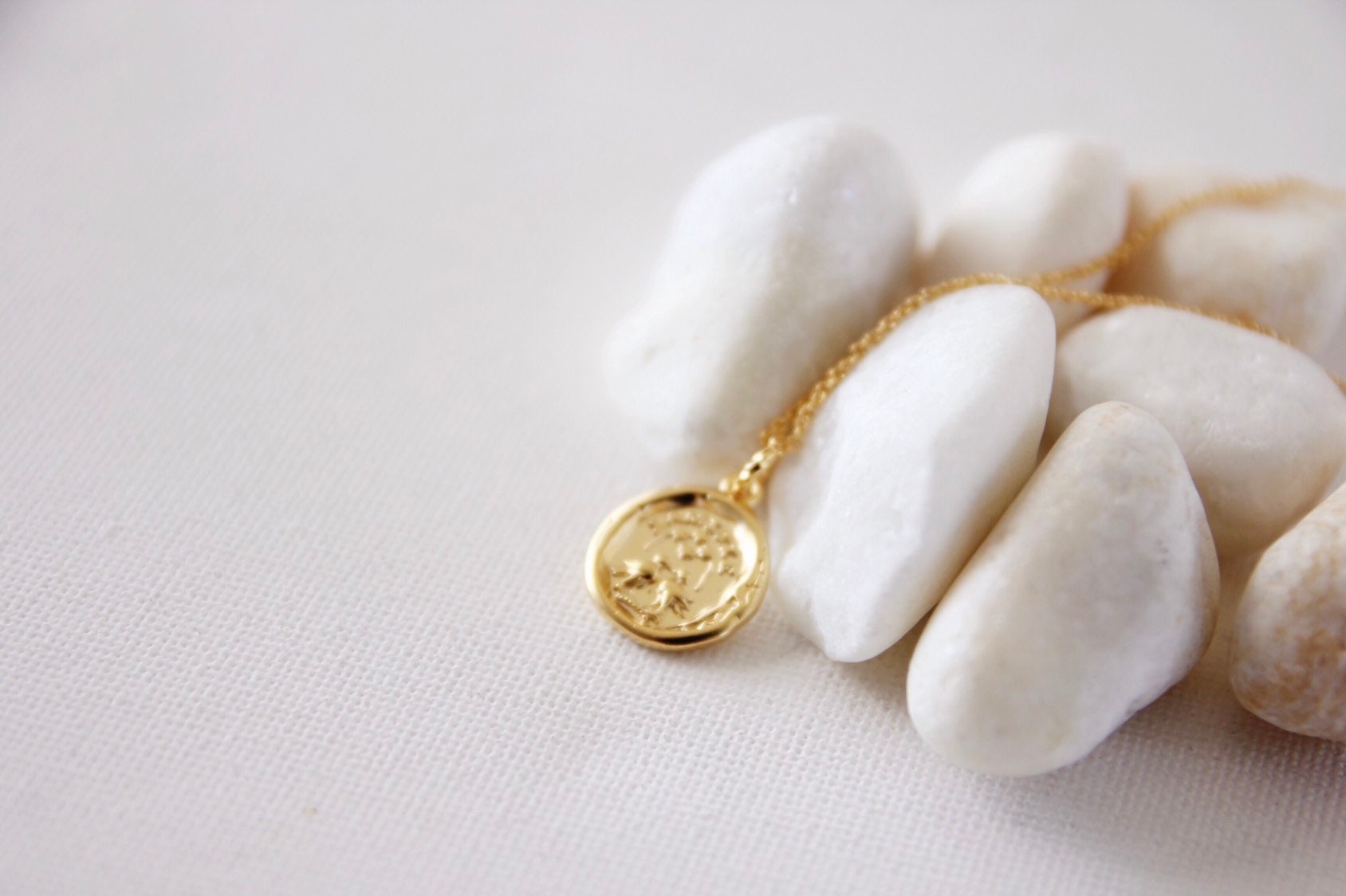 Bird Coin Necklace in Gold. Simple Necklace. Collarbone - Etsy Australia