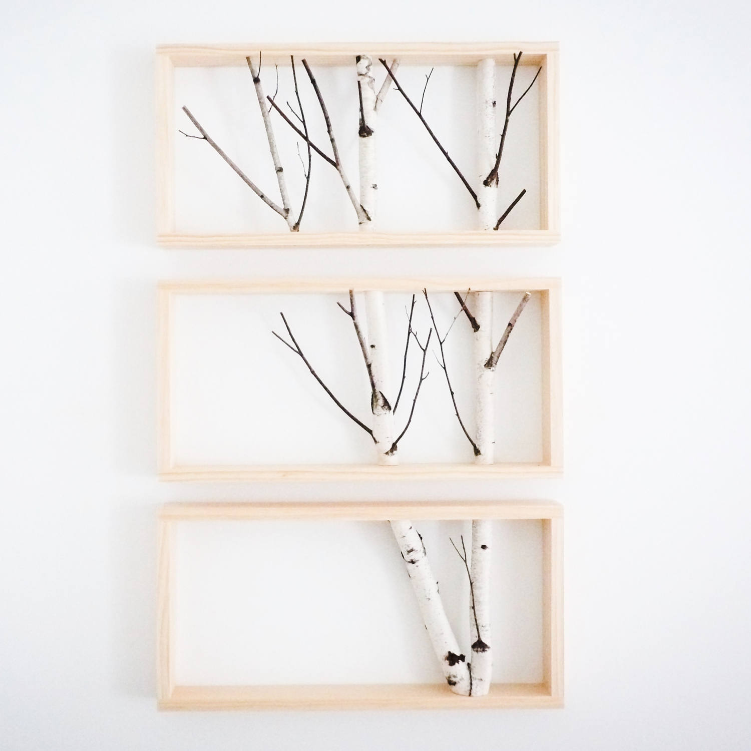 Paper Birch Twig