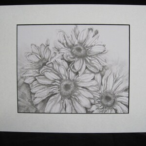 Daisies Original Drawing, Matted 11 X 14, Original Graphite Drawing ...