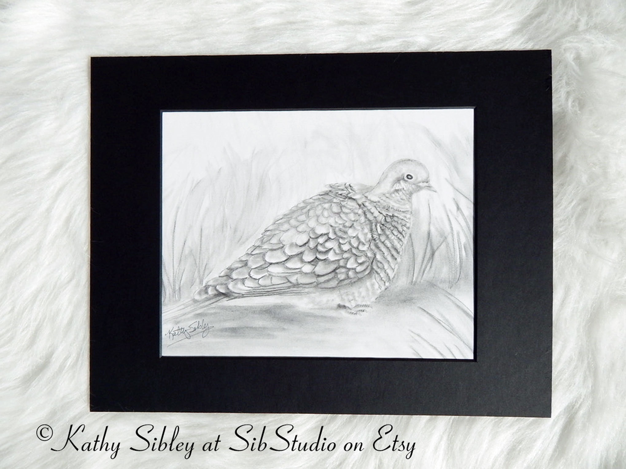 Mourning Dove Art, Original Graphite Drawing, Matted 11" X 14", Baby ...