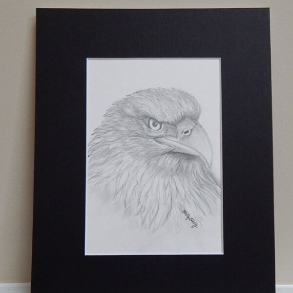 Bird Pencil Drawing - Etsy