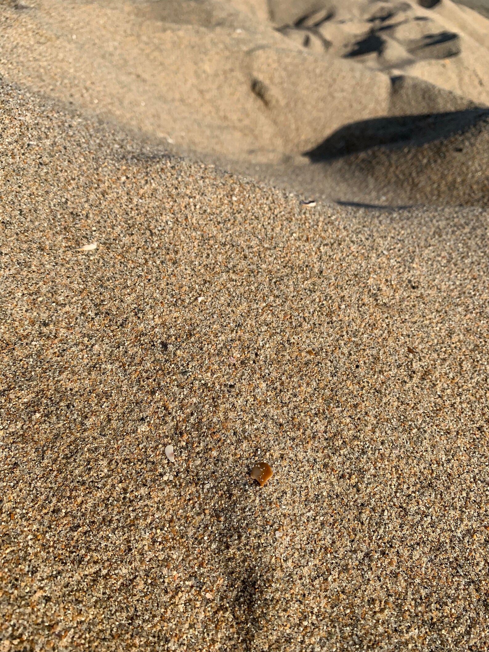 REAL Natural SAND - Etsy