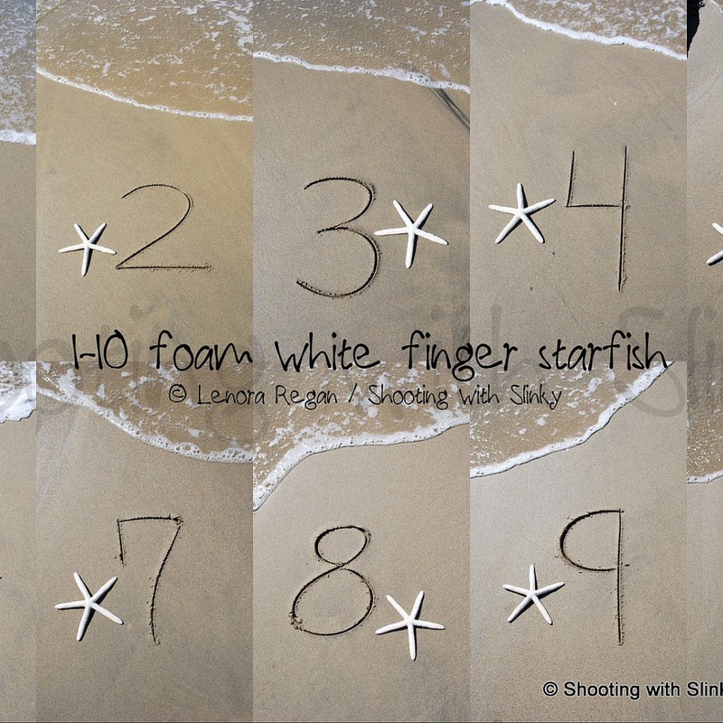 Beach Table Numbers - Etsy