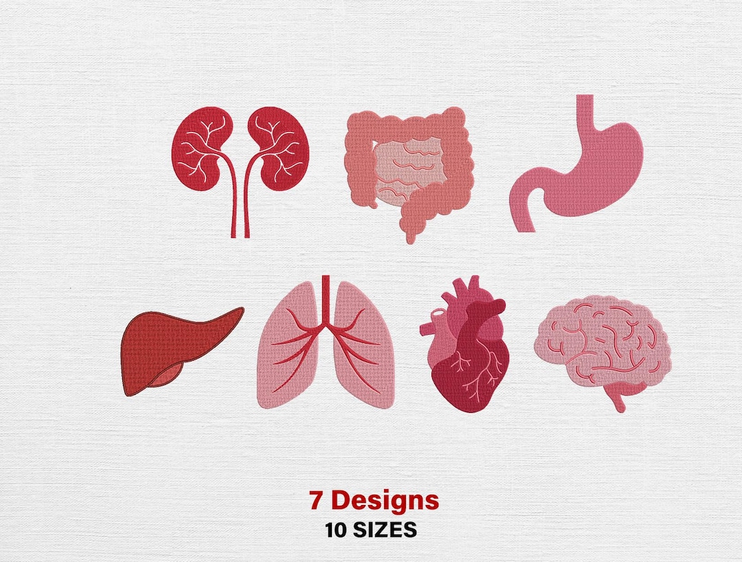 Human Organs Embroidery Design: Anatomical Heart, Lungs, Brain (digital ...