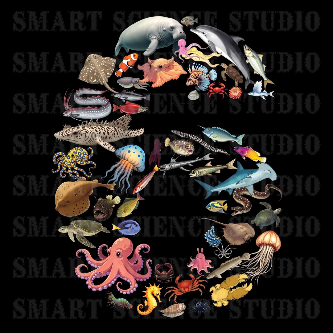 6 Years Old Birthday Design Ocean Creatures Marine Life 6th Birthday ...