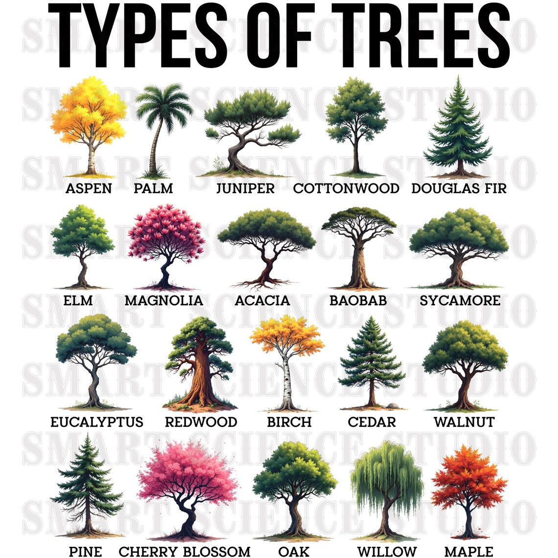 20 Types of Trees Educational PNG Design, Tree Species, Botanical ...