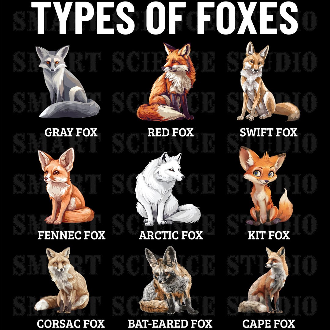 9 Types of Foxes Chart – Cute Fox Species Illustration PNG for Kids ...