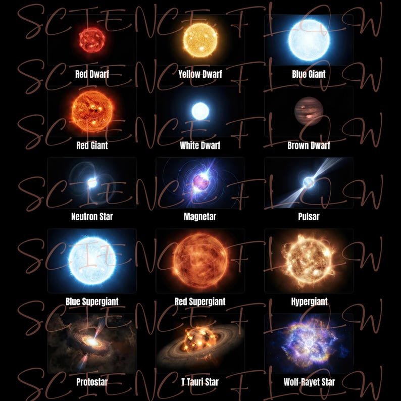 Types of Stars PNG Design | Transparent Background | Astronomy Space ...