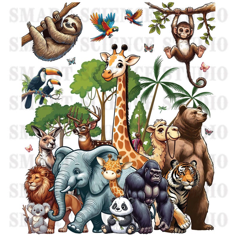 Zoo Animals Design PNG, Cute Zoo Wildlife Art for Kids Birthday, Jungle ...