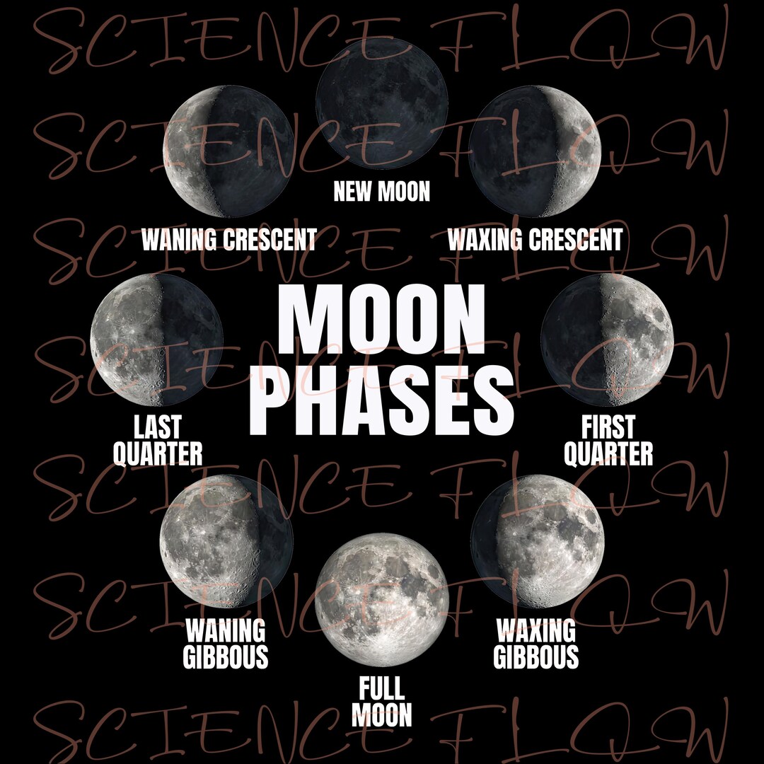 Moon Phases Educational PNG Design, Lunar Phases Chart, Astronomy ...