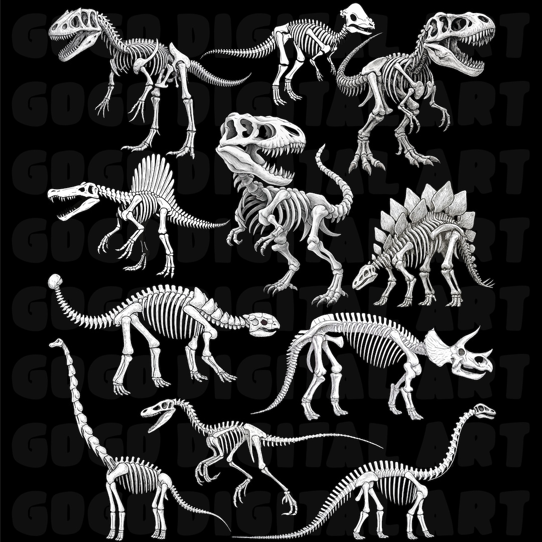Dinosaur Skeletons Illustration PNG | 10 Species Prehistoric Bones ...