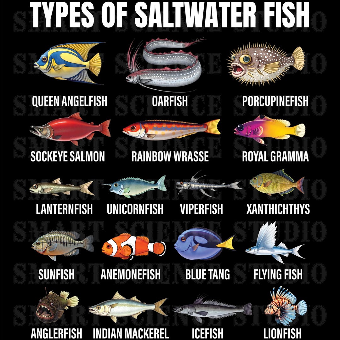 18 Types of Saltwater Fish Educational PNG Design, Saltwater Species ...