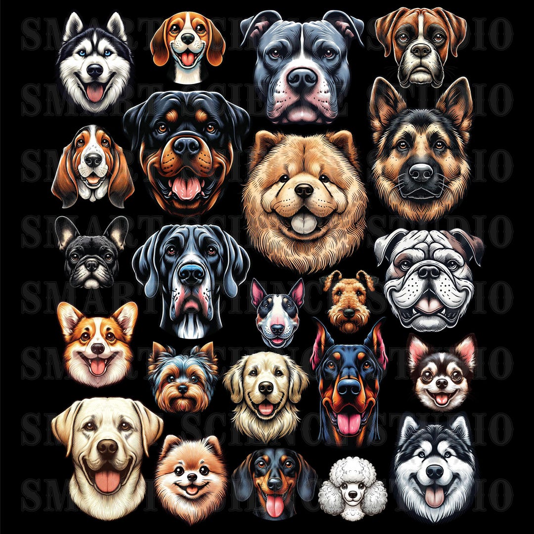 23 Dog Breeds PNG Design, Cute Dog Faces Clipart, Educational Pet Art ...