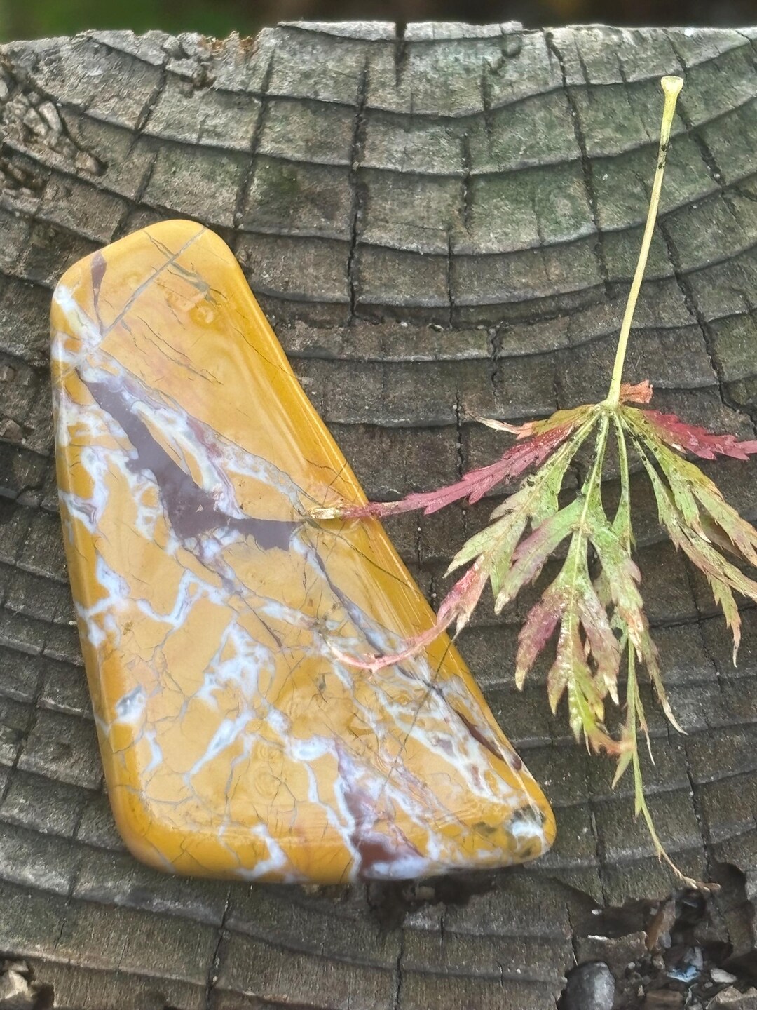 California Stone Canyon Jasper - Slab - Freeform Cab - Rough Tumbled ...