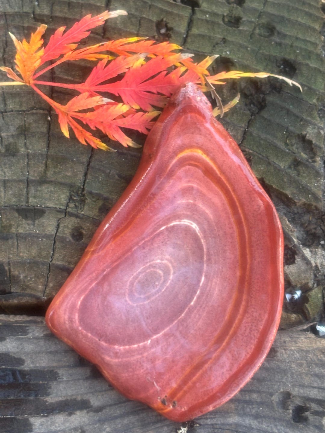 California Wonderstone Medallion - Slab - Freeform Cab - Rough Tumbled ...