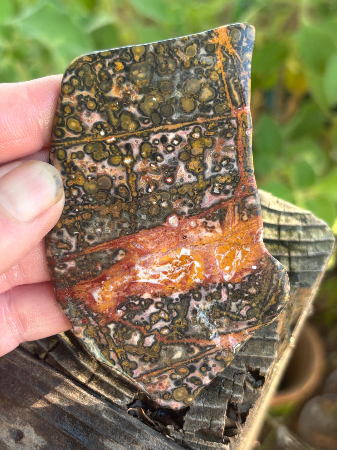 Galactic Orb Matrix Leopard Skin Jasper Medallion - Wire Wrap - Slab ...