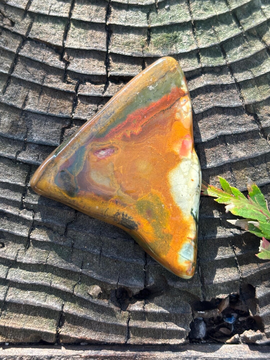 Owyhee Jasper Thin Sliced Medallion - Slab - Freeform Cab - Rough ...