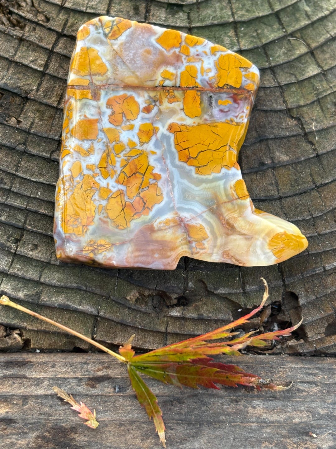 Brecciated California Jasper From Stone Canyon - Slab - Freeform Cab ...