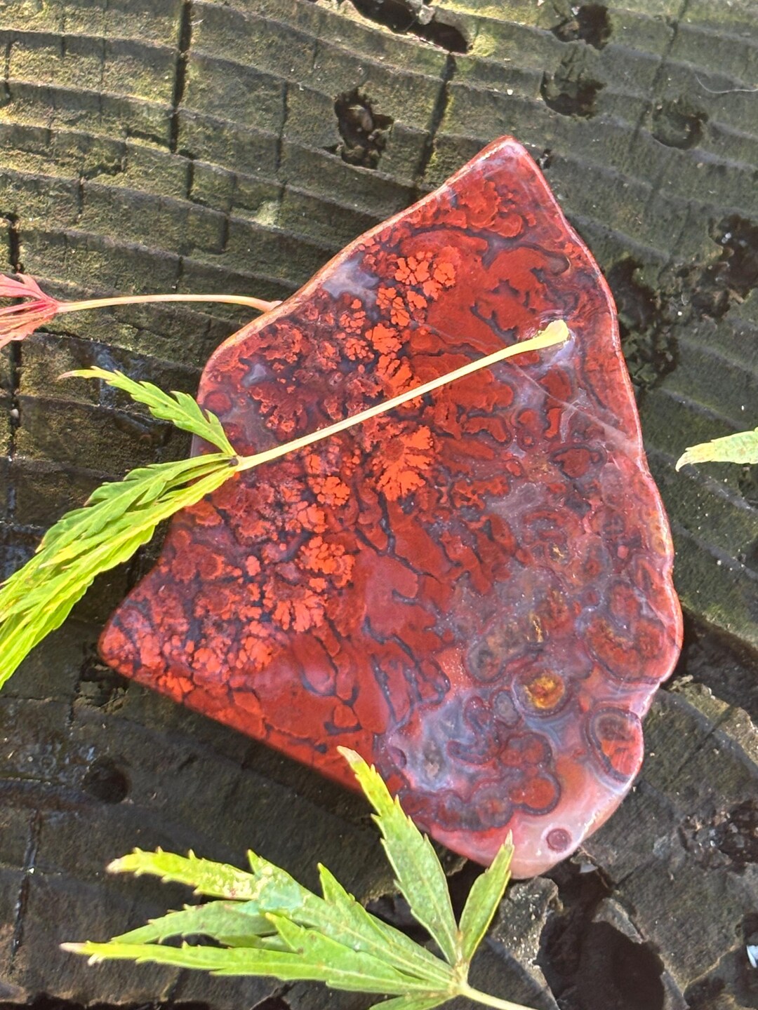 Mount Cady Fiery California Agate - Slab - Freeform Cab - Rough Tumbled ...