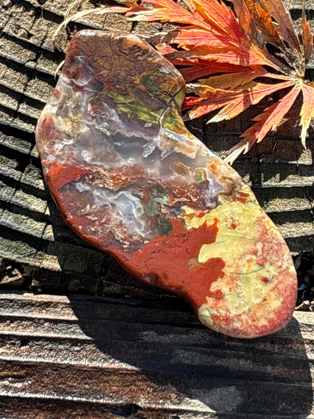Mt Cady California Fiery Agate Medallion - Slab - Freeform Cab - Rough ...