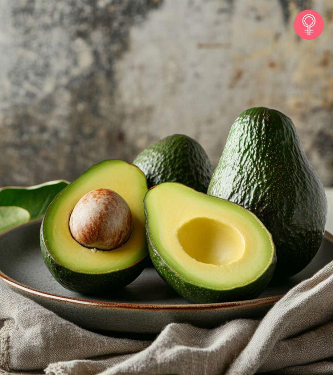 Avocado ZUTANO Life Fruit Tree 10-18inch (perseamericana) - Etsy