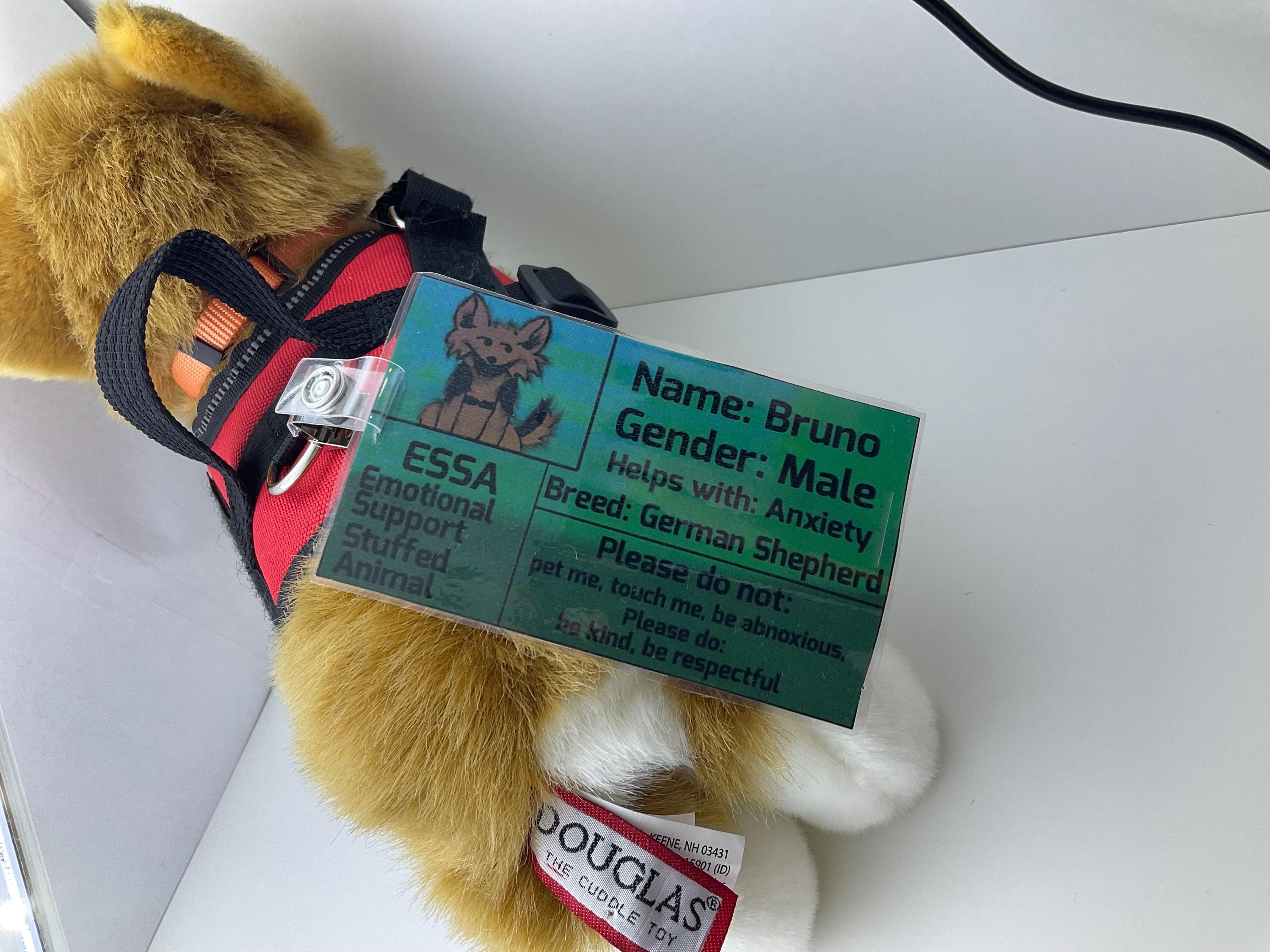 Custom ESSA Id! (READ DESCRIPTION!) - Etsy