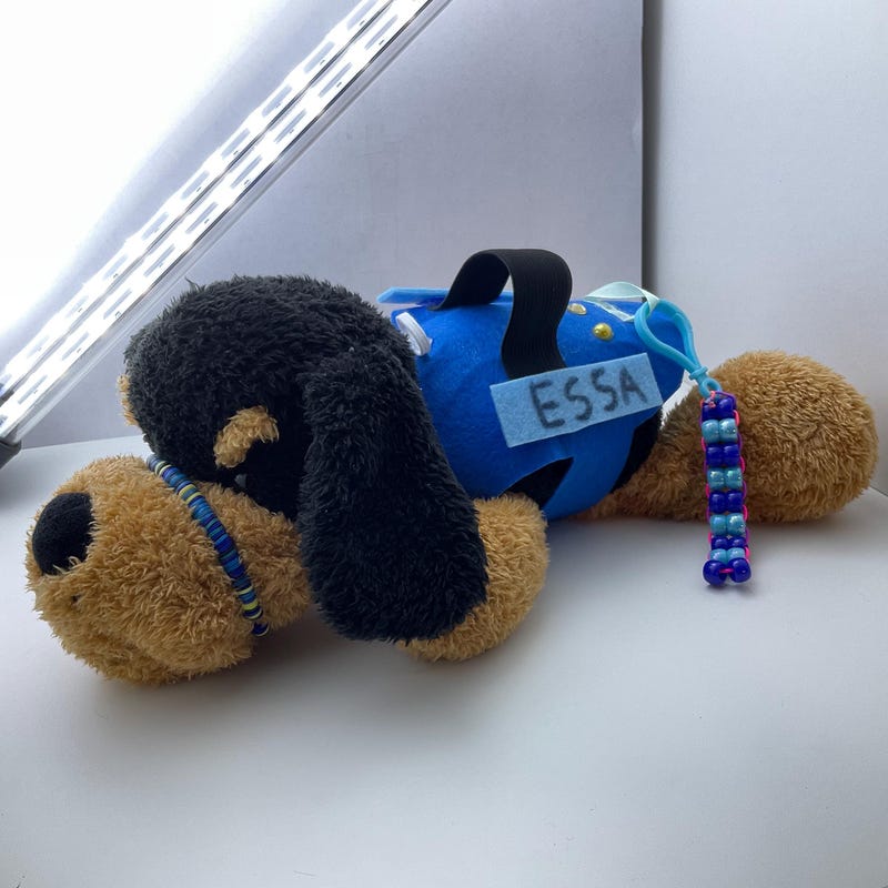 Essa Dog Plush - Etsy