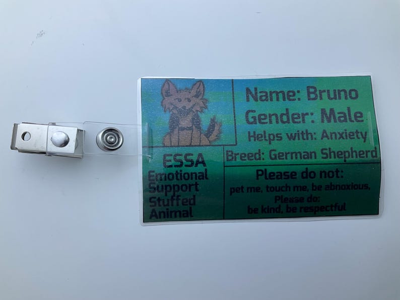 Custom ESSA Id! (READ DESCRIPTION!) - Etsy