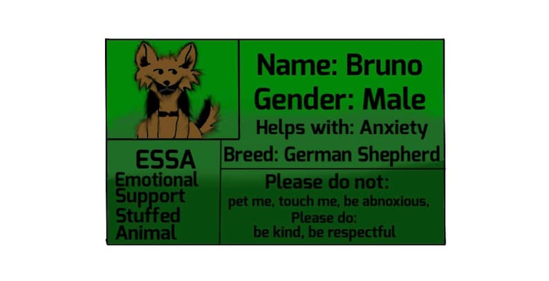 Custom ESSA Id! (READ DESCRIPTION!) - Etsy