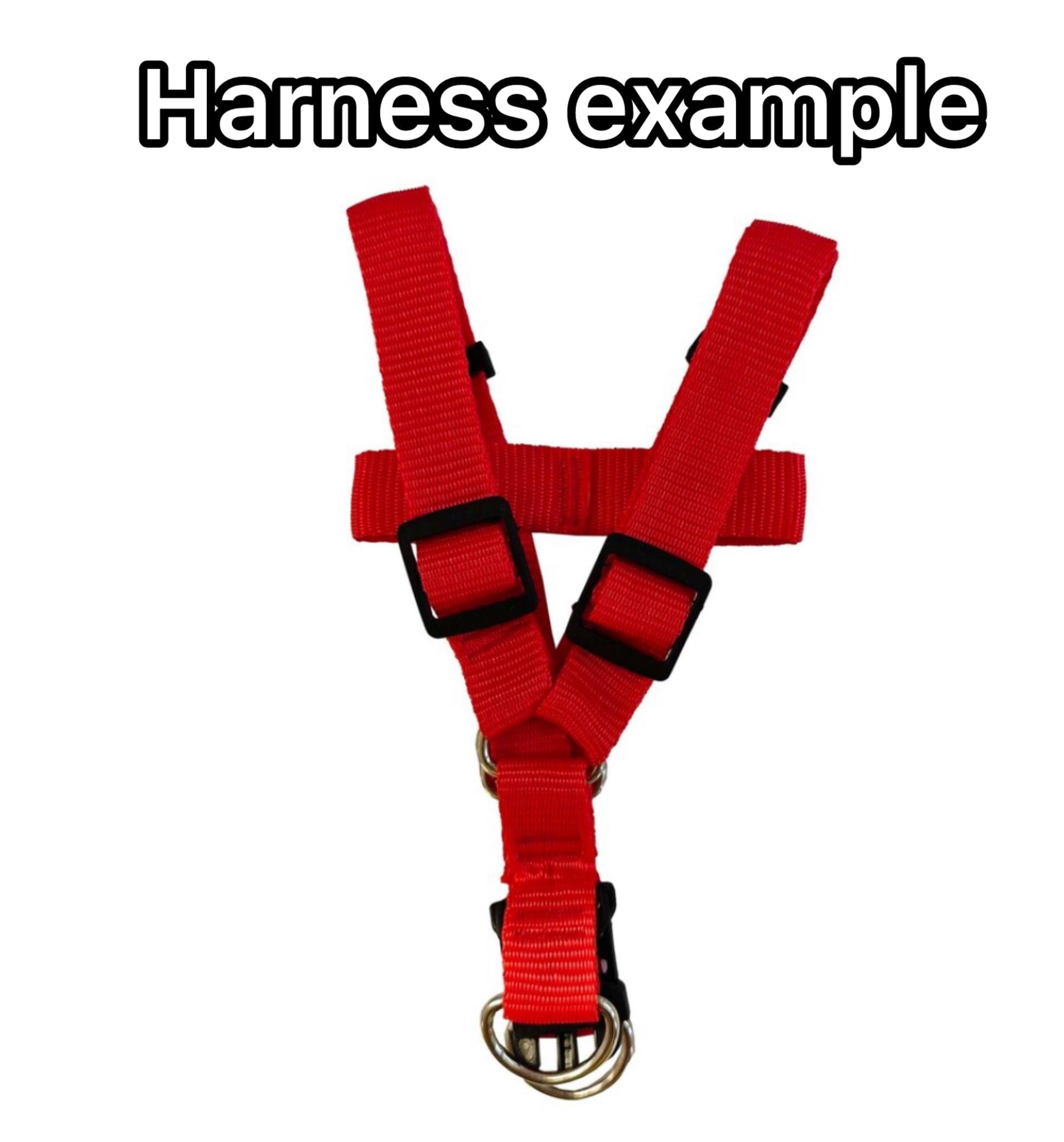 Mystery Essa Gear Box! (more Items in the Description! PLEASE READ ...